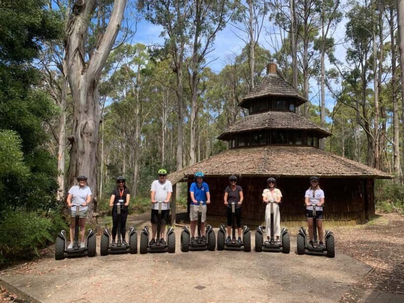 Launceston: Hollybank Forest Guided Segway Tour with Photos - What to Expect During Your Hollybank Forest Segway Tour