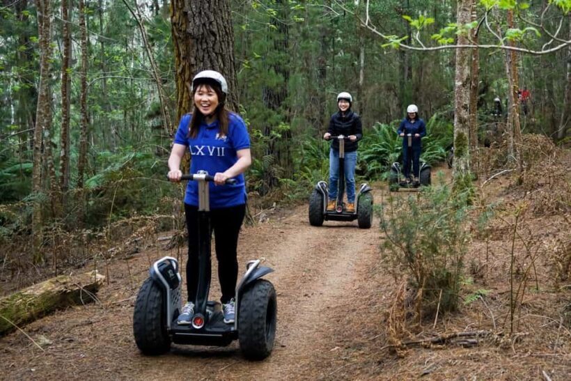 Launceston: Hollybank Forest Guided Segway Tour with Photos - The Guides and Their Role