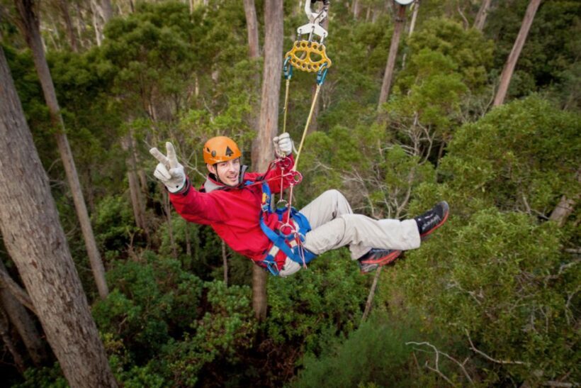 Launceston: Hollybank Forest Treetop Zip Lining with Guide - The Value of the Experience