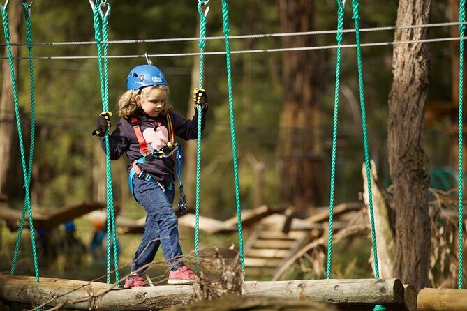 Launceston Hollybank Junior Tree Ropes Course - Introducing the Launceston Hollybank Junior Tree Ropes Course