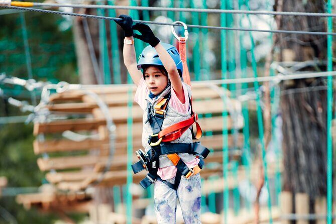 Launceston Hollybank Junior Tree Ropes Course - Key Points