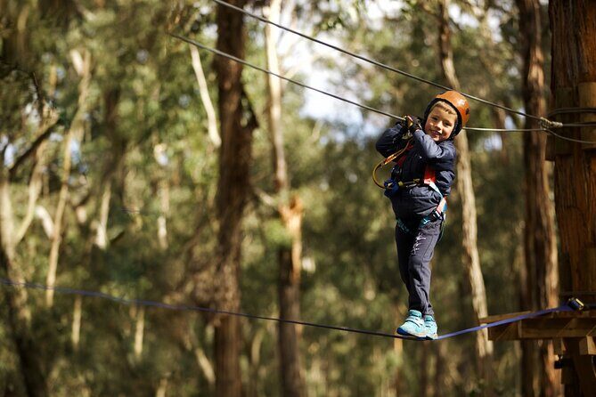 Launceston Hollybank Junior Tree Ropes Course - Final Thoughts