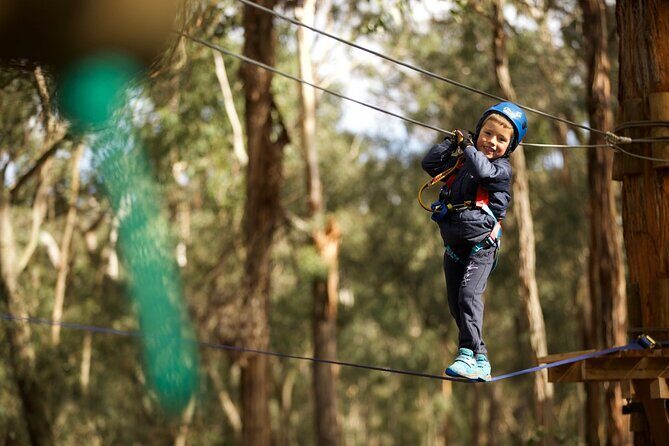 Launceston Hollybank Junior Tree Ropes Course - FAQ