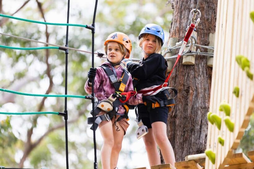 Launceston: Hollybank Junior Tree Ropes Course - Launceston: Hollybank Junior Tree Ropes Course — An Adventure for Young Explorers