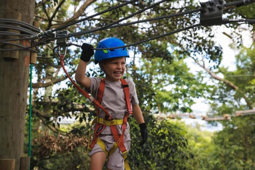 Launceston: Hollybank Junior Tree Ropes Course - What to Expect from the Hollybank Junior Tree Ropes Course in Tasmania