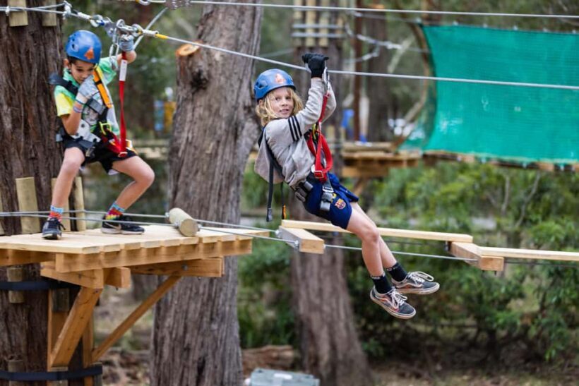 Launceston: Hollybank Junior Tree Ropes Course - Who Should Consider This Tour?