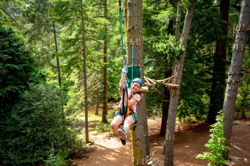 Launceston: Hollybank Tree Ropes Course - An In-Depth Look at the Hollybank Tree Ropes Course