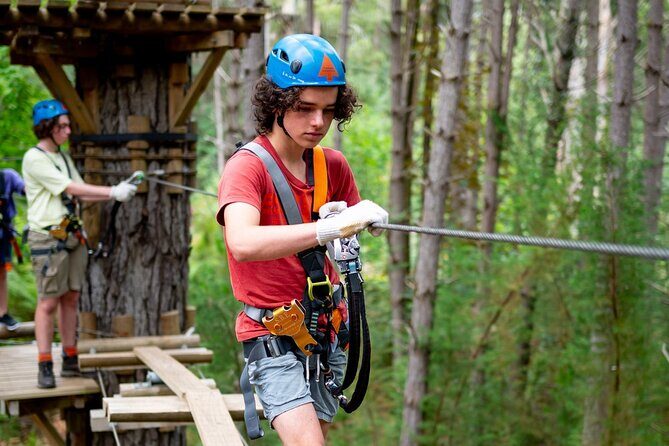 Launceston Hollybank Tree Ropes Experience - Who Would Love This Tour?
