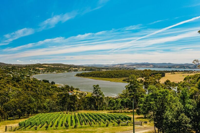 Launceston: Tamar Valley Wine Tour with Lunch - Launceston: Tamar Valley Wine Tour with Lunch – A Detailed Look