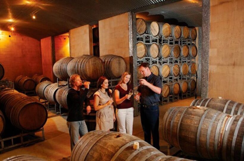 Launceston: Tamar Valley Wine Tour with Lunch - What to Expect on the Tamar Valley Wine Tour