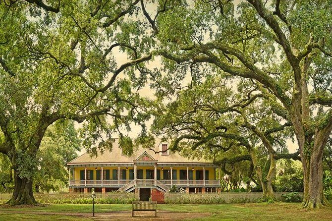 Laura Plantation Tour with Transportation - Authentic Experiences and Real Customer Feedback