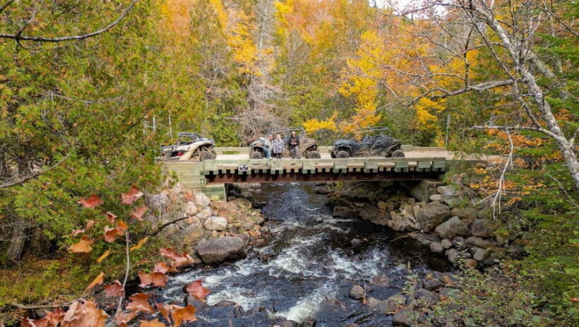 Laurentians: guided buggy tour - An In-Depth Look at the Guided Buggy Tour