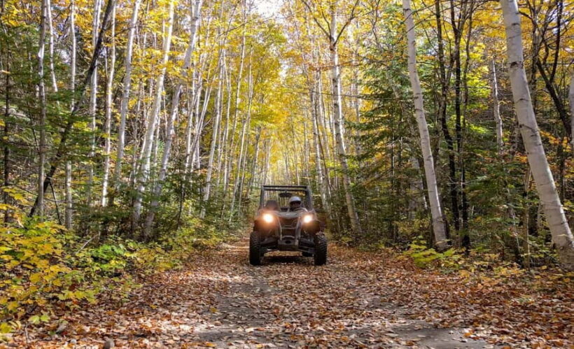 Laurentians: guided buggy tour - FAQ