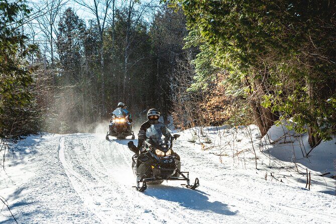 Laurentians: Guided excursion by snowmobile - Who Will Love This Tour?
