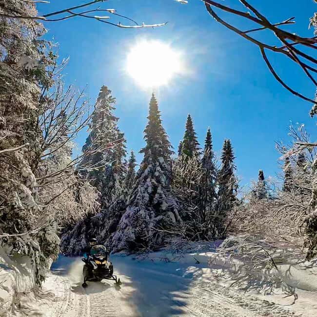 Laurentians: Snowmobile Guided Tour - Key Points