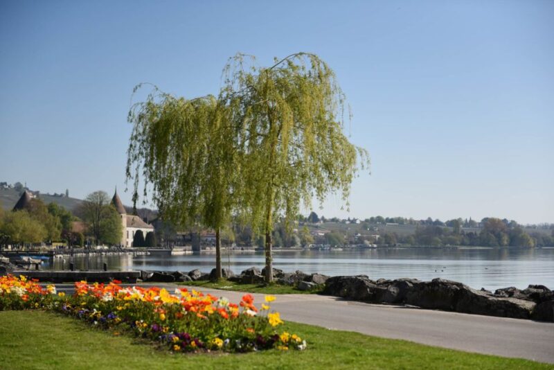 Lausanne, Montreux and Chillon: Private Trip From Geneva - Visiting Lausanne