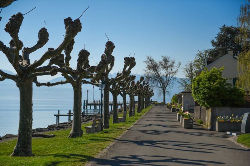 Lausanne, Montreux and Chillon: Private Trip From Geneva - Since You Asked