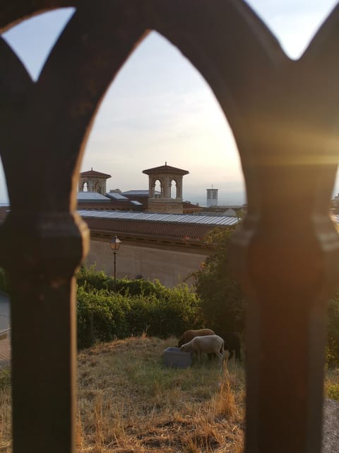 Lausanne: Old Town Guided Walking Tour - Important Notes