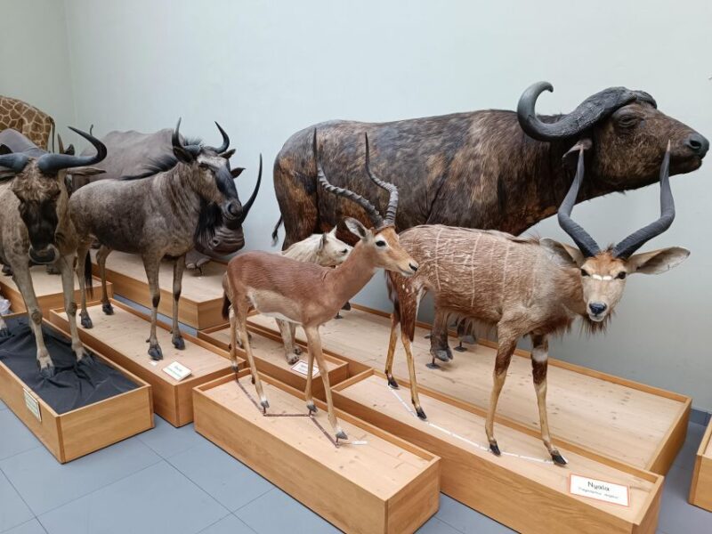 Lausanne: Private Walking Tour With a Local Guide - Hidden Secrets