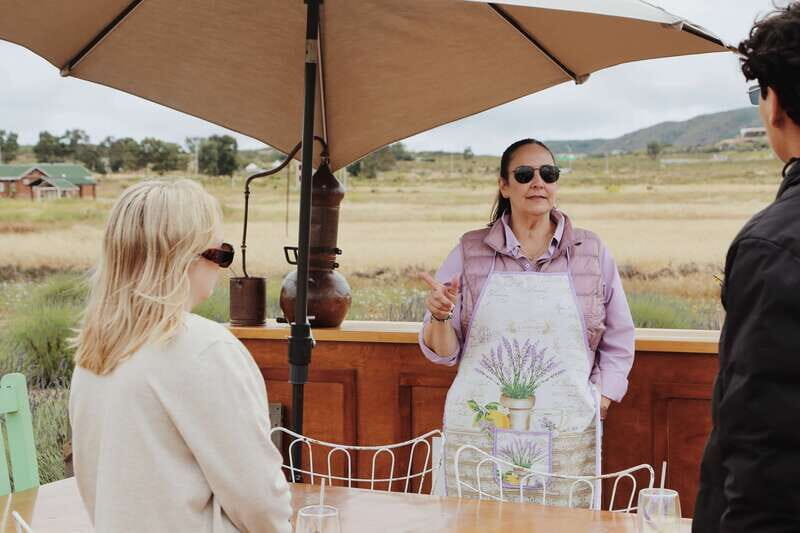 Lavender Experience Valle de Guadalupe - Guided Field Tour - Introduction