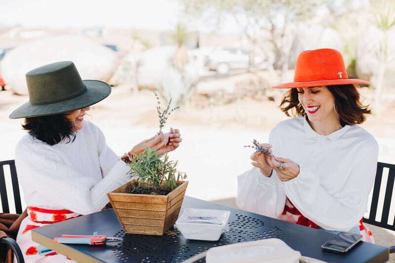 Lavender Experience Valle de Guadalupe - Guided Field Tour - Who Would Enjoy This Experience?