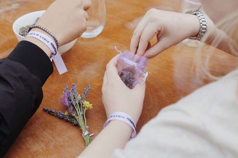 Lavender Experience Valle de Guadalupe - Guided Field Tour - FAQ