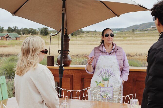 Lavender Field Guided Tour - A Scenic Escape into the Lavender Fields of Ensenada