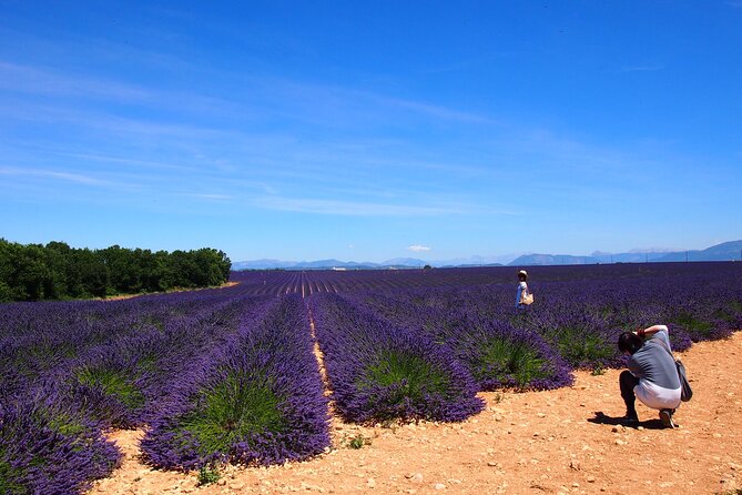 Lavender Fields Tour in Valensole From Marseille - Itinerary and Activities