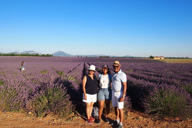Lavender Fields Tour in Valensole From Marseille - Lavender Fields of Valensole
