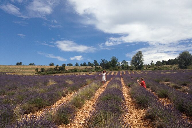 Lavender Full-day Tour in Sault From AIX-EN-PROVENCE - Who is This Tour Best Suited For?