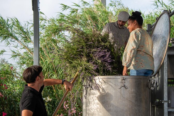 Lavender Harvesting and Distillation Workshop in Bellegarde - Who Will Love This Tour?