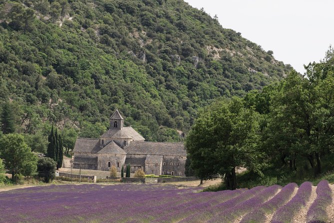 Lavender in Luberon Small Group Half-Day Trip - Traveler Feedback and Concerns