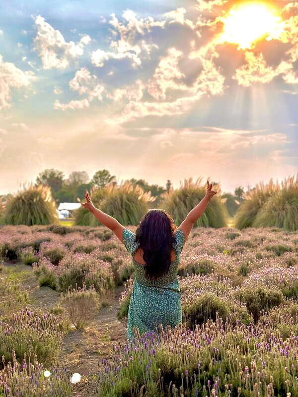 Lavender Ranch, Chautla and Val`Quirico. - Exploring Puebla’s Hidden Charms: Lavender Ranch, Chautla, and Val`Quirico