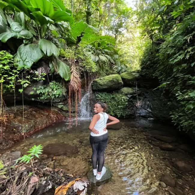 Lawyer Stephen Hike with Waterfall and Cave Hike - An Overview of the Hike Experience