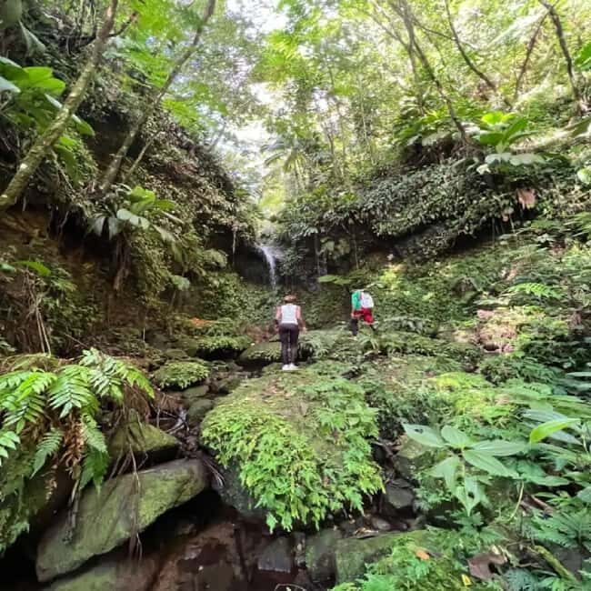 Lawyer Stephen Hike with Waterfall and Cave Hike - Learning and Storytelling Along the Trail