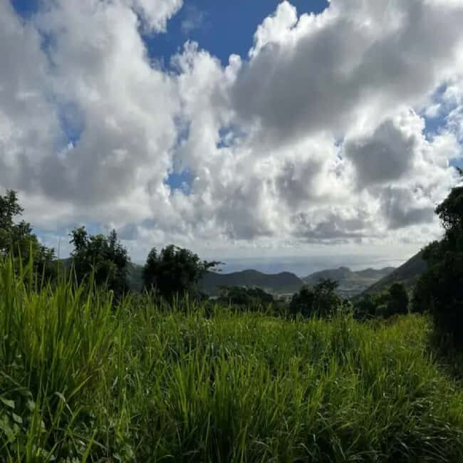 Lawyer Stephen Hike with Waterfall and Cave Hike - Final Thoughts on Value and Suitability