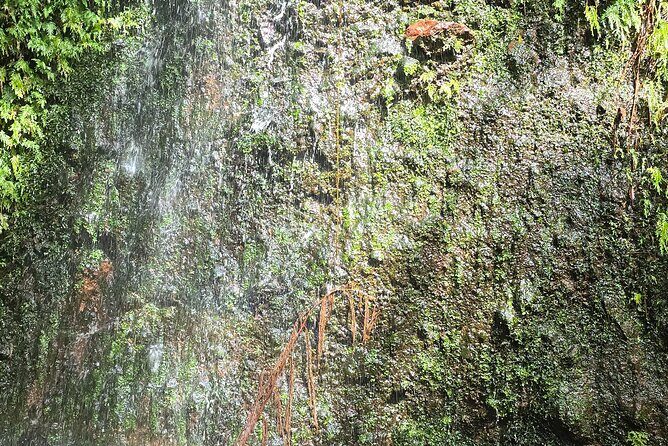 Lawyer Stephens Cave & Waterfalls Hike - FAQ