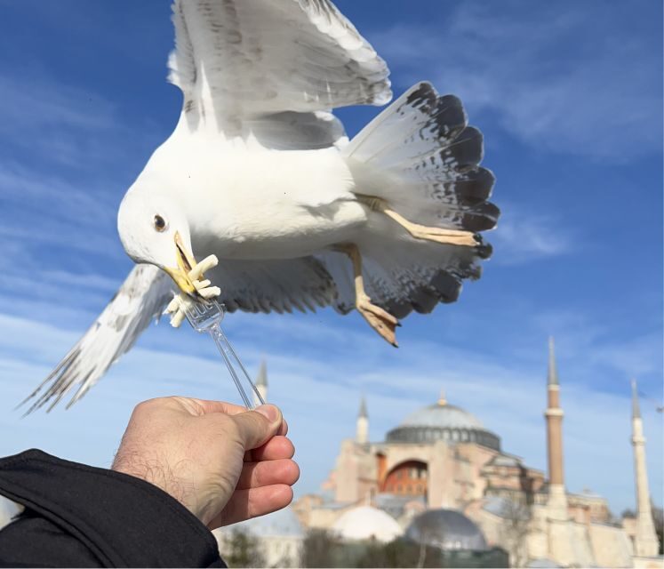 Layover Private Guided Istanbul City Tour with Transfers - Authentic Experiences and Local Flavors