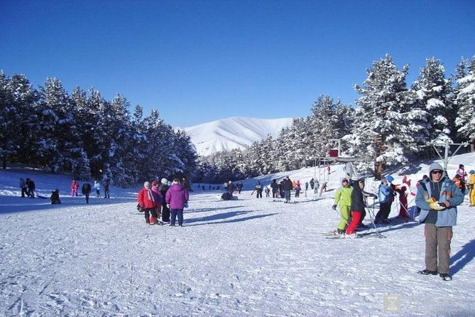 Layover Tour: Echmiadzin & Zvartnots with Airport Transfers - Who Will Love This Tour?