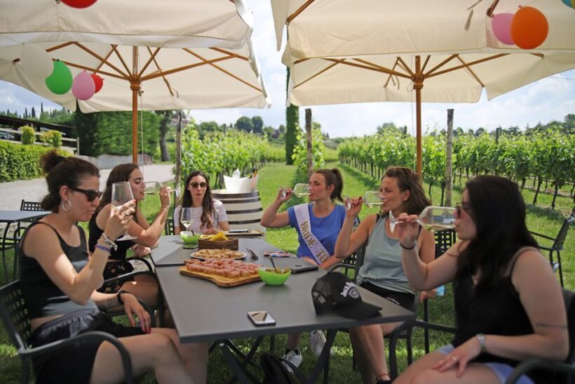 Lazise: Bike Tour and Wine Tasting - Key Points