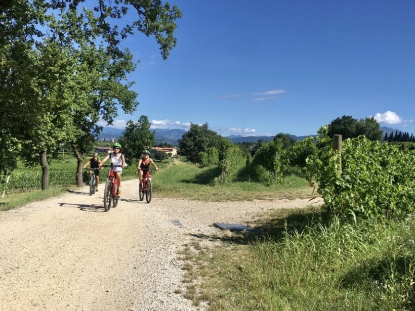Lazise: Bike Tour and Wine Tasting - Experiencing the Beauty of Lazise by Bike