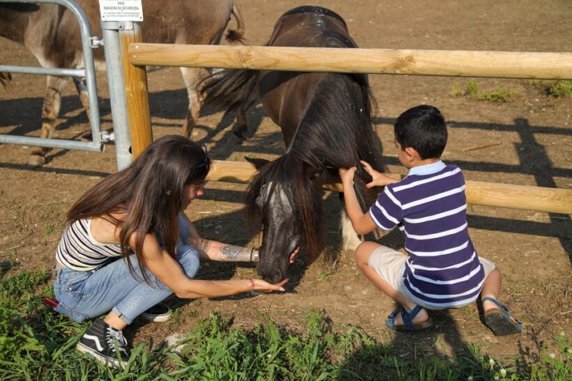 Lazise: Biodynamic Farm Tour and Natural Wine Tasting - Final Thoughts: The Value and Charm of Lazise’s Biodynamic Farm Tour