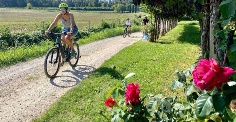 Lazise: Countryside e-Bike Tour with Wine Tasting - What to Expect During the Tour