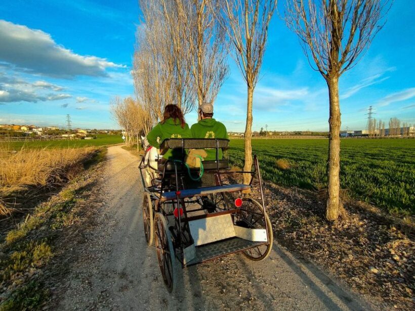 Lazise: horse carriage tour with tasting of local products - Key Points