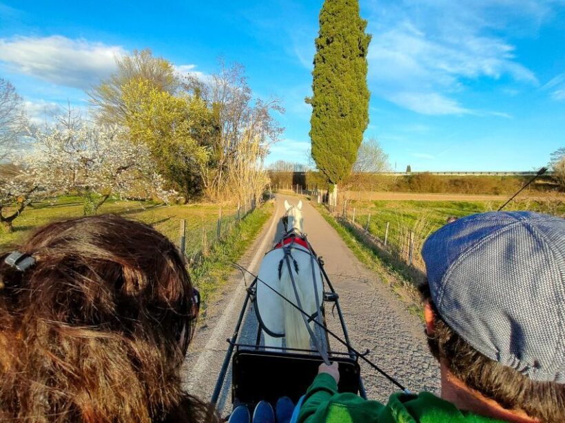 Lazise: horse carriage tour with tasting of local products - The Tasting Experience: Flavors of the Land