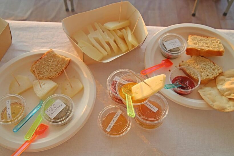 Lazise: horse carriage tour with tasting of local products - Practical Details: What You Need to Know