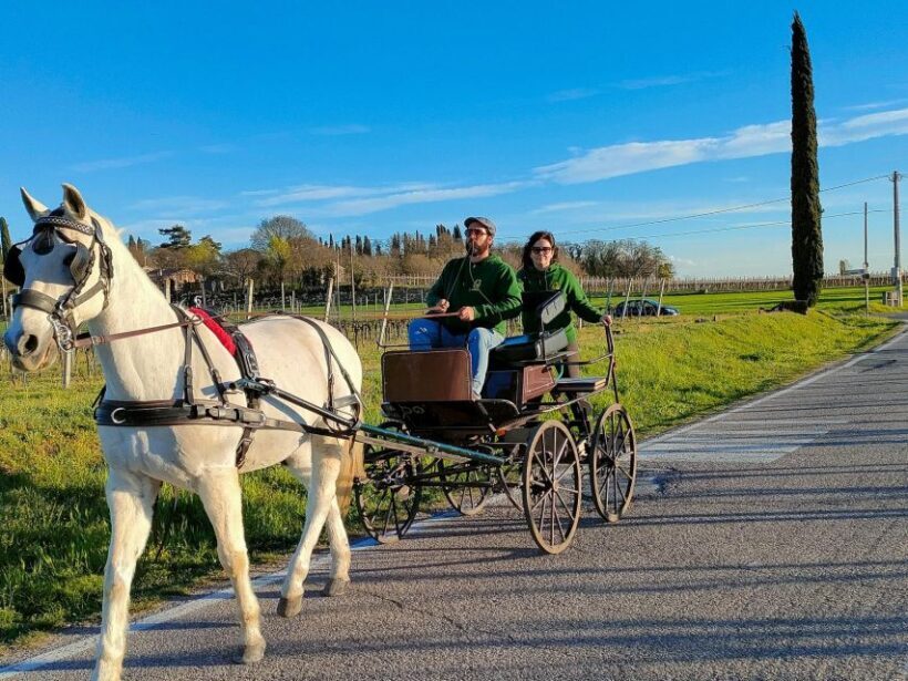 Lazise: horse carriage tour with tasting of local products - Who Should Consider This Tour?