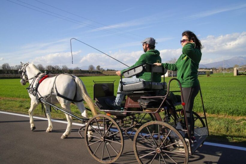 Lazise: horse carriage tour with tasting of local products - The Sum Up