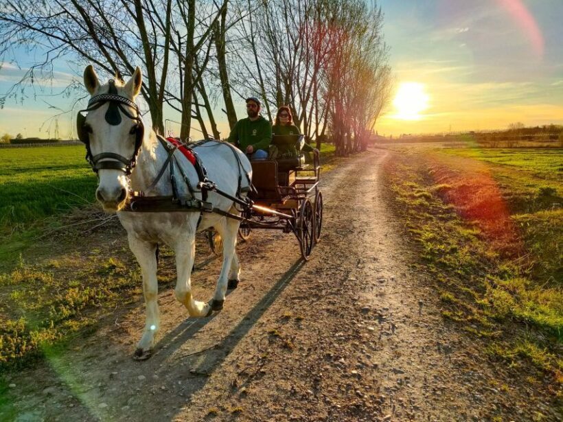 Lazise: horse carriage tour with tasting of local products - FAQs