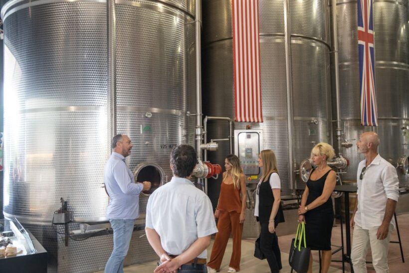 Lazise: Vineyard Tour and Organic Wine Tasting - Practical Information & Tips for Visitors